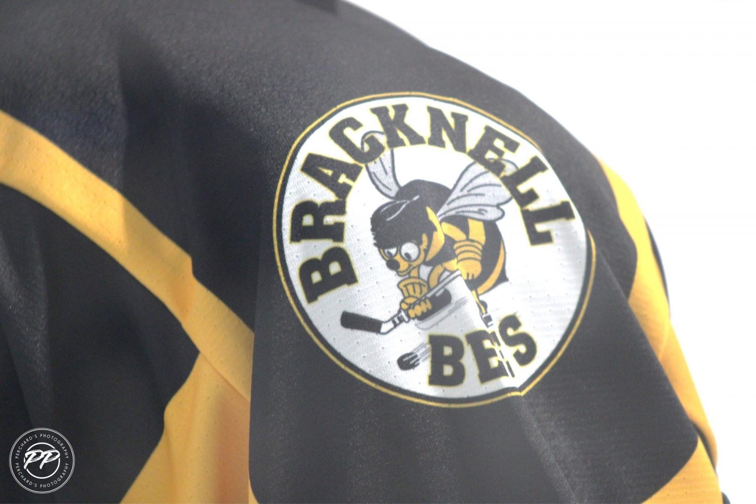 History – Berkshire Bees Ice Hockey Club