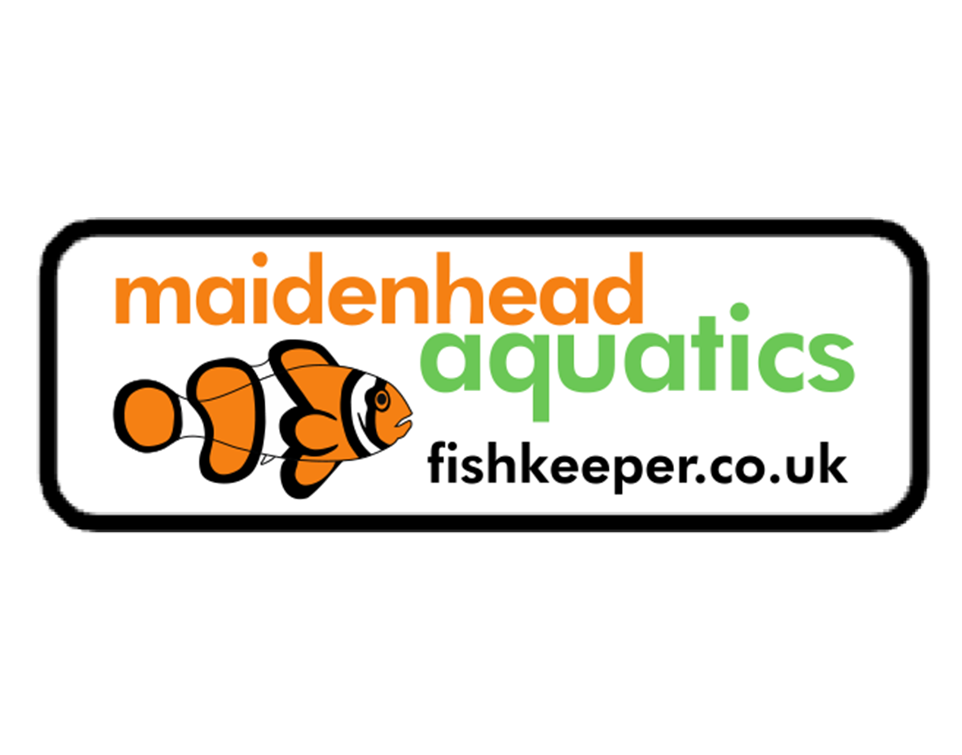 Bristol Pitbulls – Berkshire Bees Ice Hockey Club