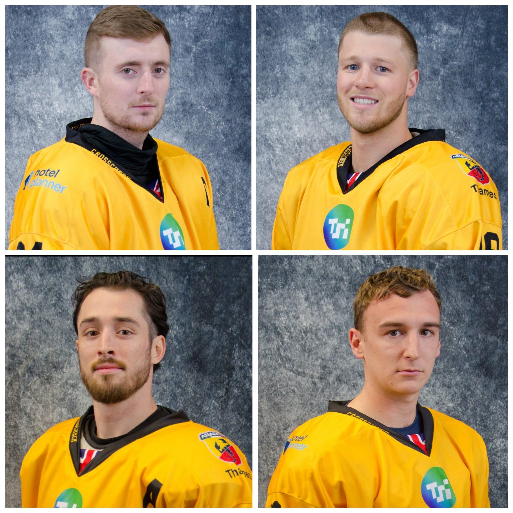 NIHL STRUCTURE & FIXTURE FORMAT – Berkshire Bees Ice Hockey Club